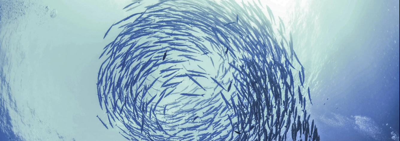 Generic - Forty by HTML5 UP